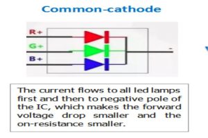 What Is The Common Cathode Of LED Display? - LED Screen Manufacturer in ...
